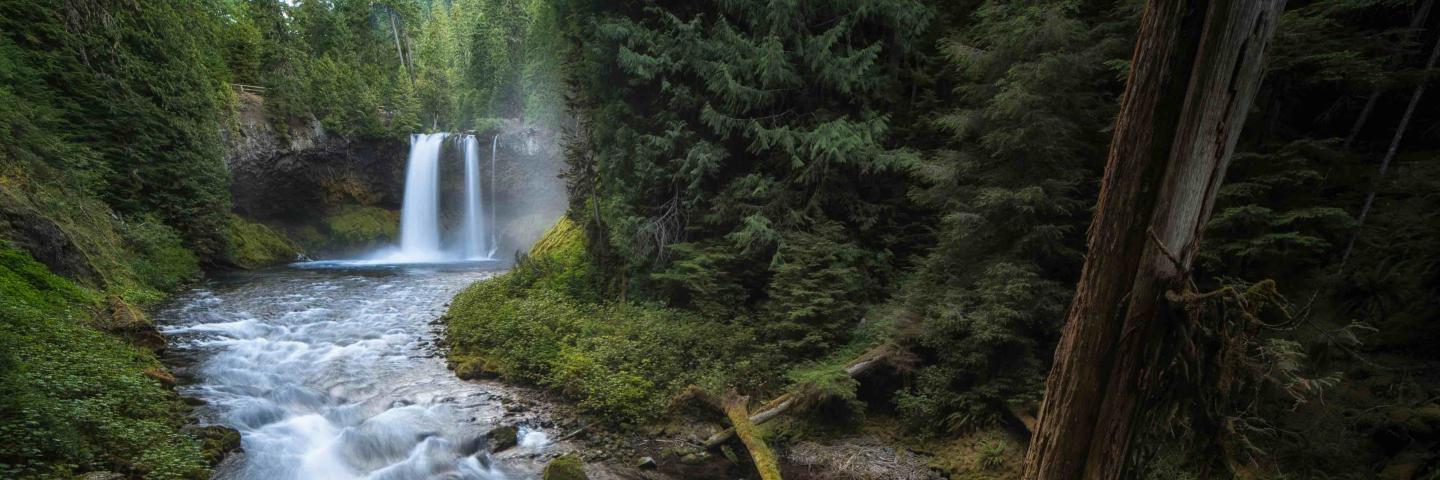 Nature Night—Wetlands and Watersheds | Museum of Natural and Cultural ...