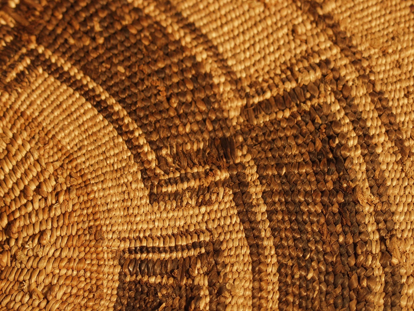 Klamath Basketry | Museum of Natural and Cultural History