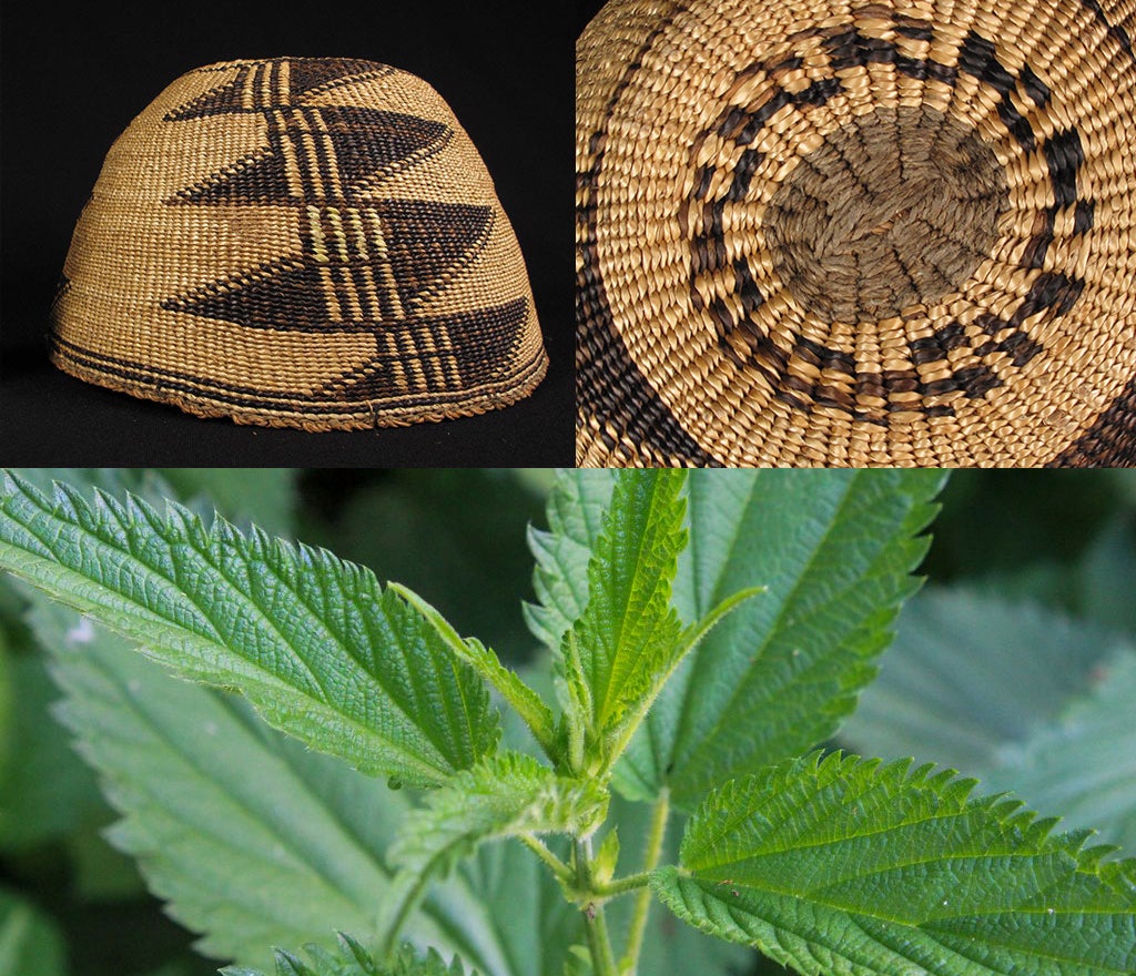 Native Plants in Oregon Basketry | Museum of Natural and Cultural History