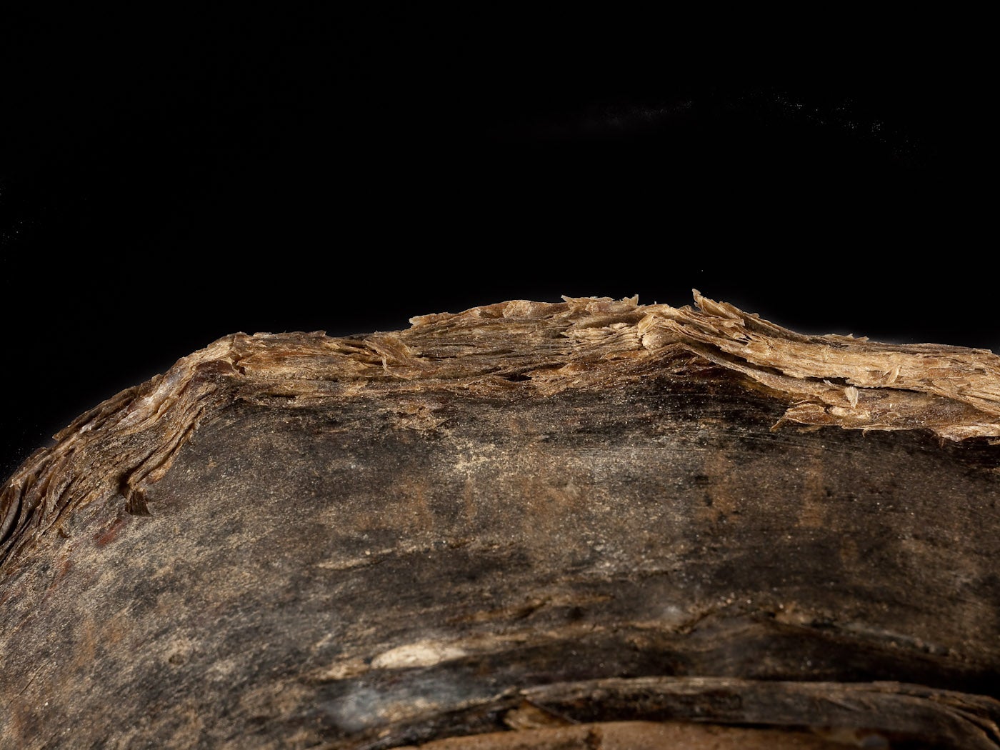 Inupiaq Baleen Baskets | Museum of Natural and Cultural History