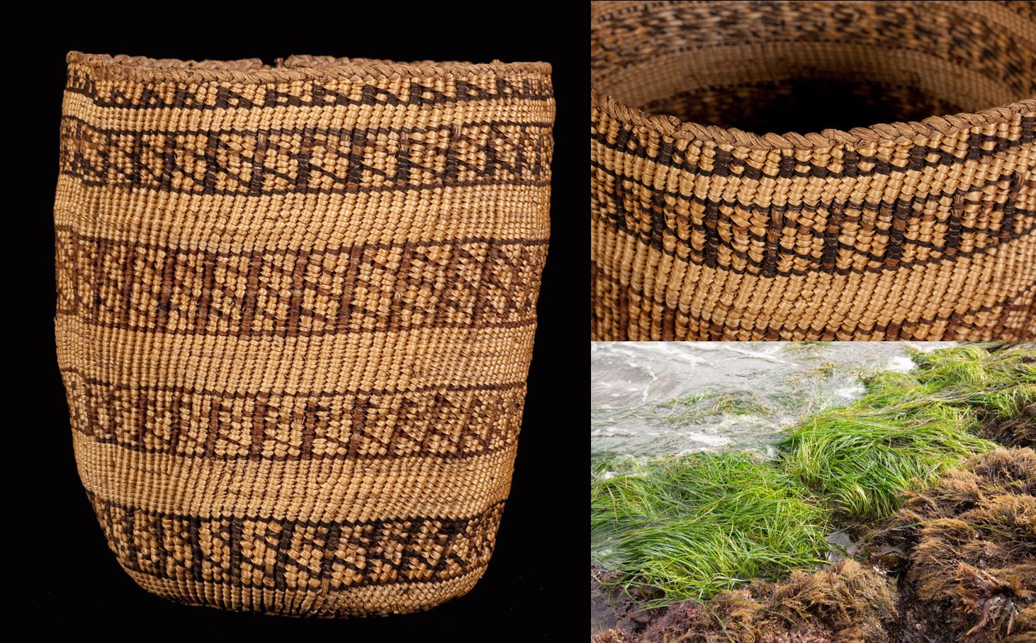 Native Plants in Oregon Basketry | Museum of Natural and Cultural History