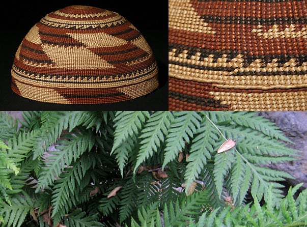 Native Plants in Oregon Basketry | Museum of Natural and Cultural History