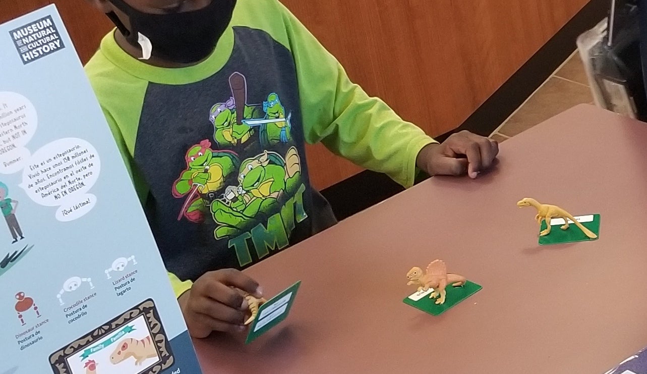 Museum Adventures: Oregon's Dino-Story Exhibit Publicity Resources ...