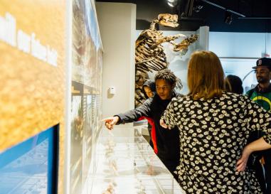 K-12 Programs | Museum of Natural and Cultural History