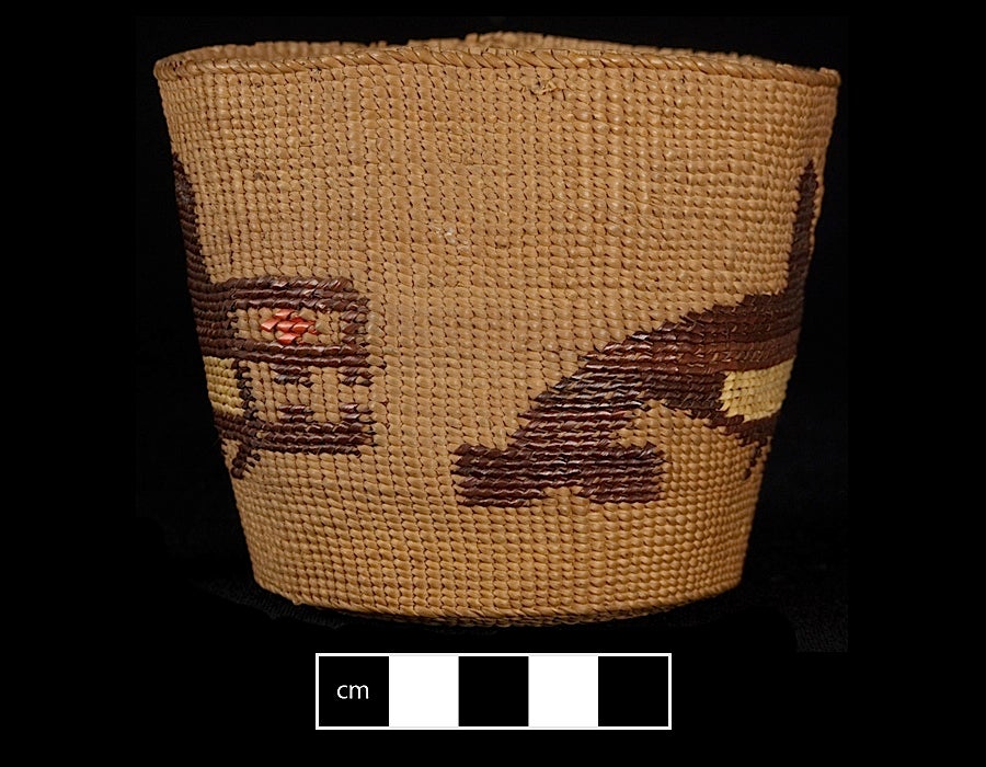 Tlingit Spruce Root Baskets | Museum of Natural and Cultural History