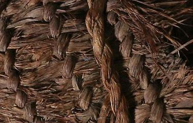 Fancy Footwear | Museum of Natural and Cultural History