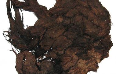 Great Basin Sandals | Museum of Natural and Cultural History