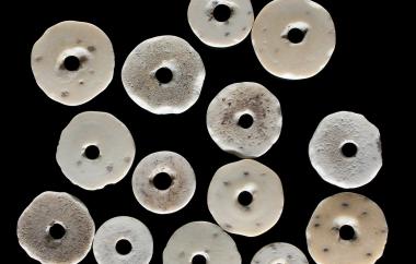 Beads | Museum of Natural and Cultural History